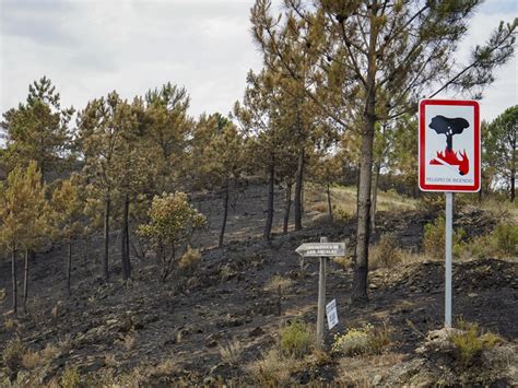 Los Incendios Forestales Se Duplican En España Respecto A La Media De