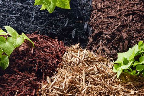 How Often Should You Replace Mulch We Asked A Landscaping Pro
