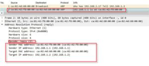 SOLVED Find Duplicate IP Address With Wireshark GoLinuxCloud