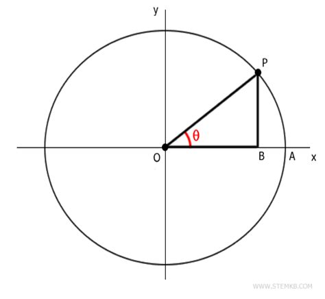 Understanding The Sine Function In Trigonometry Stemkb