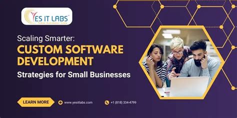Learn Custom Software Development Strategies For Small Business Ava