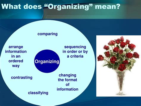 Levels Of Thinking And Reasoning Ppt Download