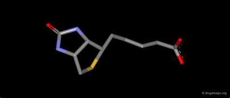 Introduction To Protein Ligand Binding Drug Design Org