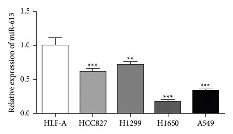 MiR 613 Expression In Non Small Cell Lung Cancer Tissues And Cells A