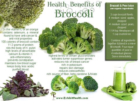 The Many Health Benefits Of Broccoli Provides A Continual Solid