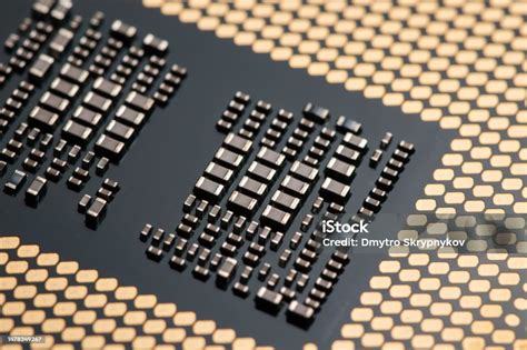 Cpu 골드 핀 마이크로 칩 프로세서 컴퓨터 구성 요소 기술 매크로 사진 중앙 처리 장치 컴퓨팅 0명에 대한 스톡 사진 및 기타 이미지 Istock