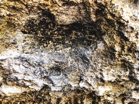 Patterns And Textures Of Rocks In Nature Stock Image Image Of Brown