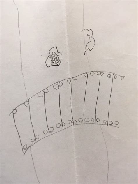 「カメ 」大童 澄瞳sumito Oowaraの漫画