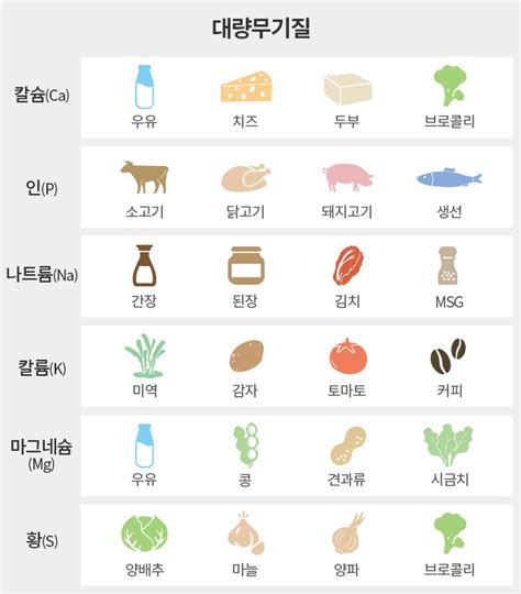 4 무기질 의 위력 부족해도 넘쳐도 병 난다 네이버 블로그
