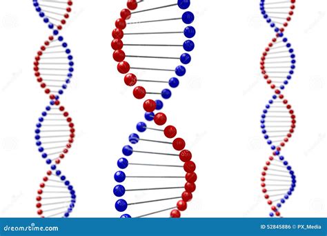Dna Concept Stock Illustration Illustration Of Biology 52845886