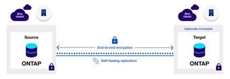 Netapp Replication Storage And Data Snapshots Netapp