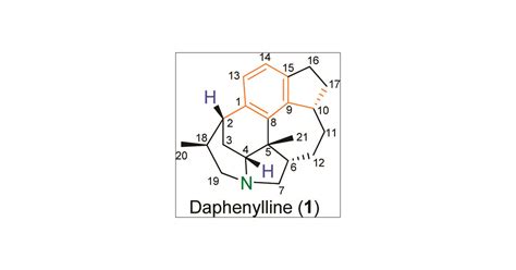 Daphenylline A New Alkaloid With An Unusual Skeleton From Daphniphyllum Longeracemosum