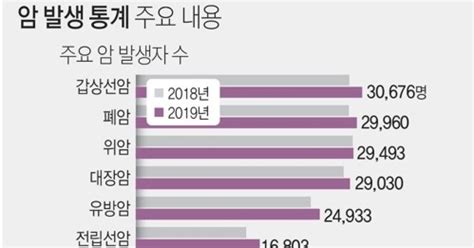 그래픽 암 발생 통계 주요 내용