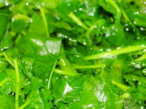 봄나물 유채나물무침 들기름을 넣어서 더 맛있어요