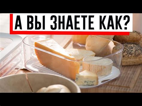 Как хранить сыр в холодильнике долго свежим после вскрытия упаковки