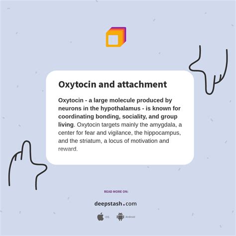 Oxytocin And Attachment Deepstash