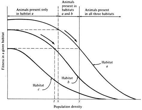Interspecific Competition Graph