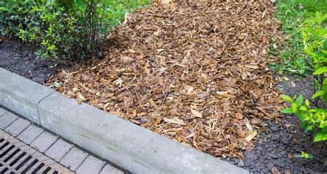 Pathway Bark Natural Ground Cover For Landscaping Agromin