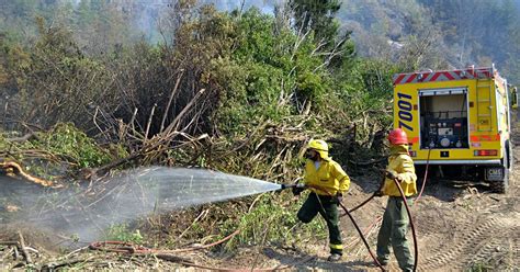 Incendio Forestal En Chubut Infobae