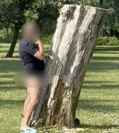 Homem Preso Ao Ser Flagrado Fazendo Sexo Com Rvore Em Parque A Trombeta News