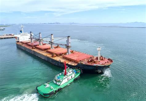 Bulk Carriers Explained Types Uses And Why They Matter Ouco