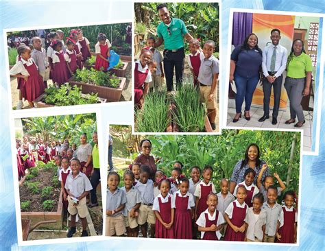 Adb Lends Support To Belle Garden Anglican Primary School Adb