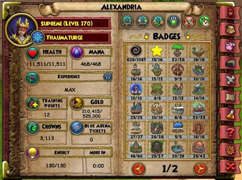 How Many Badges Do You Have R Wizard101