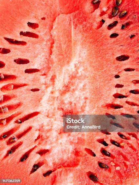 붉은 수박 한 조각 클로즈업 반 육즙 수박 천연 건강한 설탕 비타민 영양 전채 0명에 대한 스톡 사진 및 기타 이미지 0명 건강한 생활방식 건강한 식생활 Istock