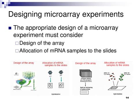 Ppt Some Statistical Issues In Microarray Data Analysis Powerpoint