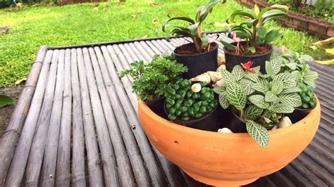 กระถางต้นไม้รวม Aorganic Youtube