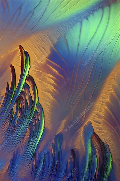 Vitamin C Light Micrograph Stock Image C025 7383 Science Photo Library