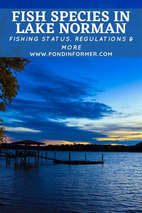 List Of Fish Species In Lake Norman 2023 Updated Artofit