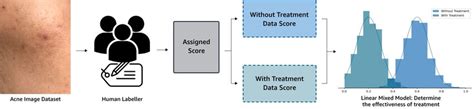 Illustration Of The Manual Expert Analysis Download Scientific Diagram