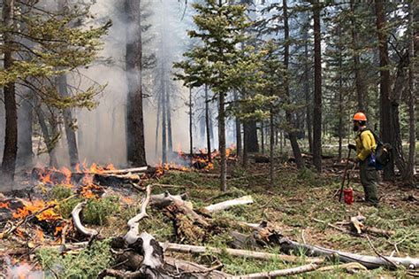 Science Outreach Ecological Restoration Institute