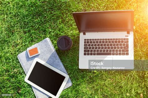 녹색 잔디 커피 컵과 야외 공원에서 태블릿에 노트북 컴퓨터 Screening에 대한 스톡 사진 및 기타 이미지 Screening 건강관리와 의술 공원 Istock
