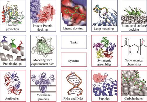 Protein Engineering Variant At Kathleen Flores Blog
