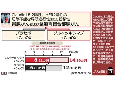 日本がん対策図鑑 【er陽性乳がん：術後治療（idfs）】「カミゼストラント」vs「アロマターゼ阻害薬」