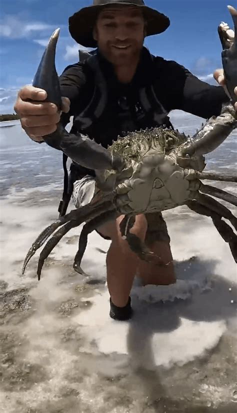 Grumpy Crab Rpareidolia
