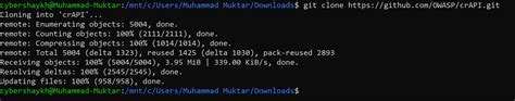 setting up your api hacking home lab mahmud muhammad