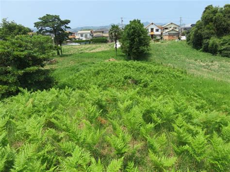 曽根遺跡群ワレ塚古墳糸島市 九州の古墳遺跡巡り