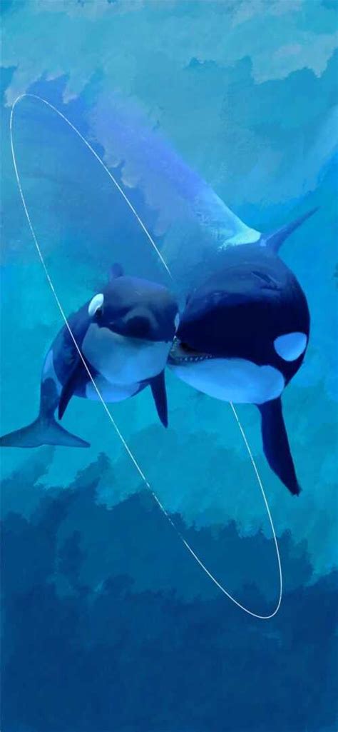 Orca Wallpaper Ixpap