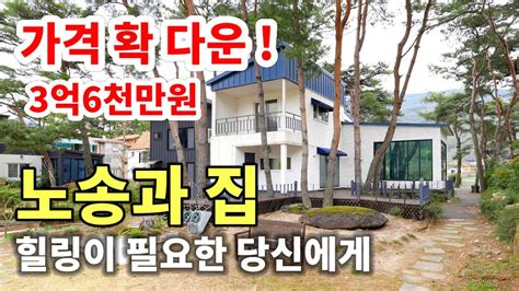 262 가격인하 3억3천 청도 강변 노송숲속 힐링하우스ㅣ주택인가 별장인가 넓은 터와 센스 넘치는 전원주택매매 가격인하 Youtube