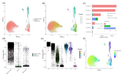 Single Cell Rna Sequencing Scrna Seq Data Clustering Corresponds To