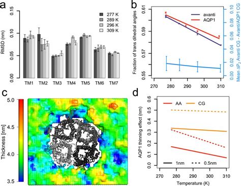 Native Like Membrane Models Of E Coli Polar Lipid Extract Shed Light