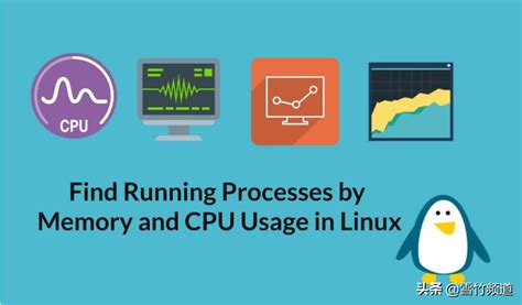 如何在 Linux 中按内存和 Cpu 使用率查找运行次数最多的进程 Linux 查看cpu使用率内存使用率
