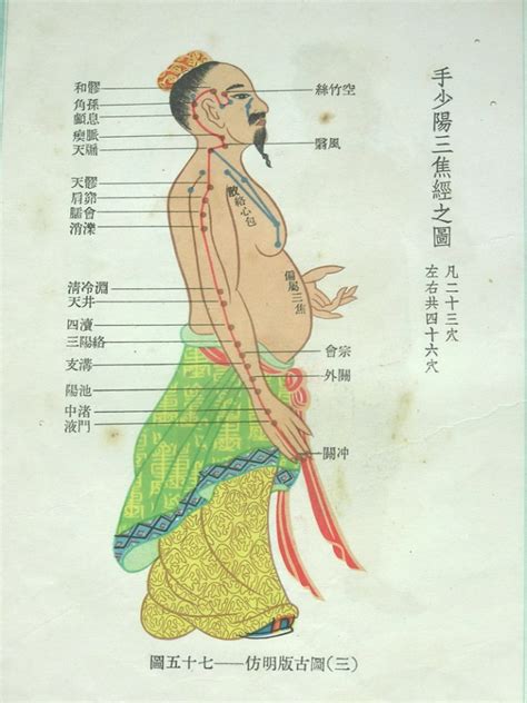 古版十二经络图——仿明版古图 高清图片，堆糖，美图壁纸兴趣社区