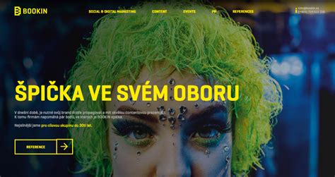 Best Divi Theme Examples