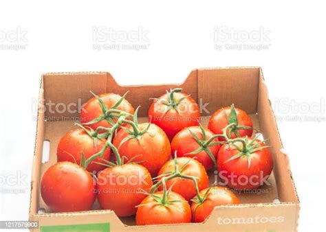 흰색 식료품 배달 개념에 고립 된 종이 상자에 포도 나무에 활기찬 신선한 잘 익은 토마토 건강한 식생활에 대한 스톡 사진 및