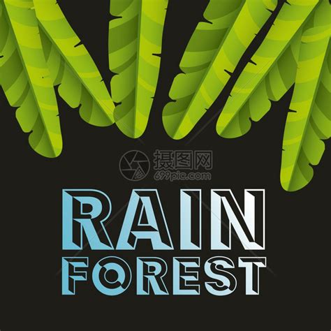 雨林设计矢量图解e插画图片下载 正版图片402278227 摄图网