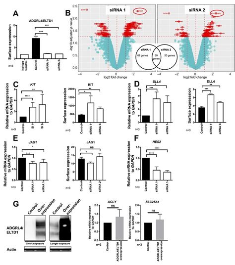 figure s1 validation of additional microarray targets a